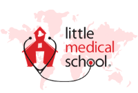 LMS map – Little Medical School®