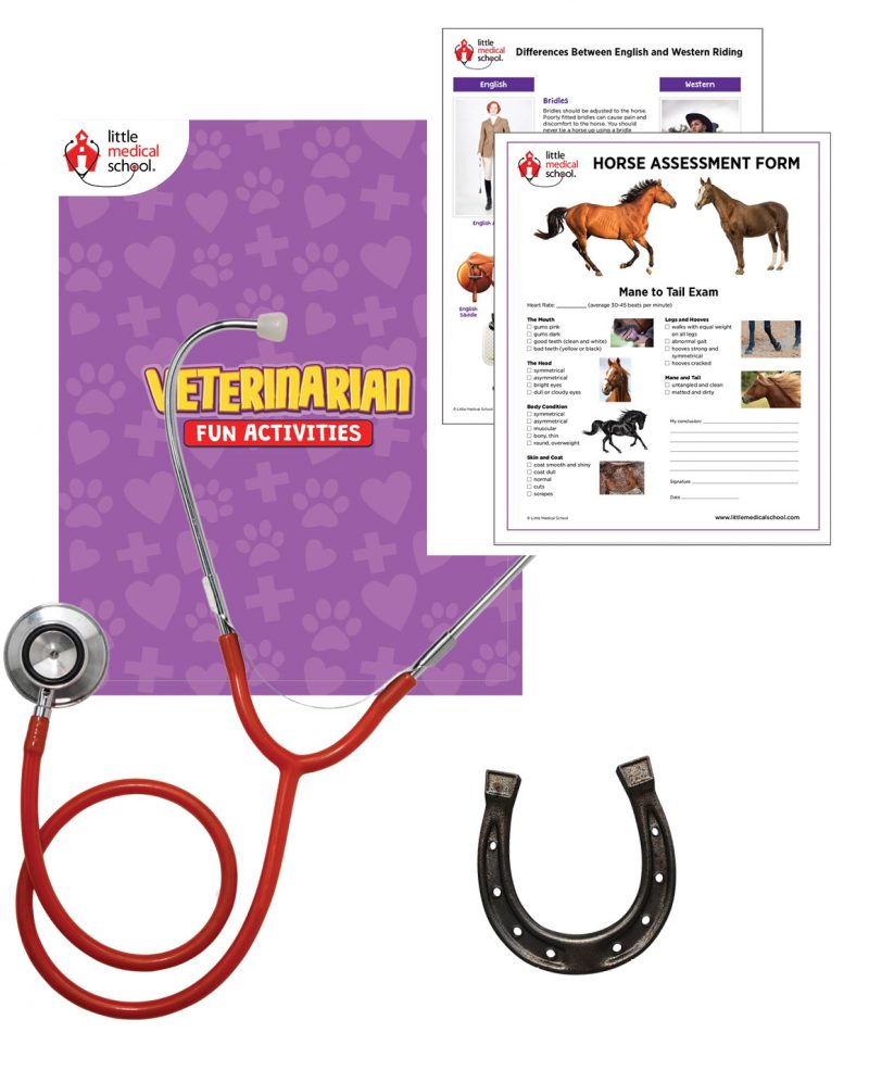 Veterinarian Horse Activity Set – Little Medical School®