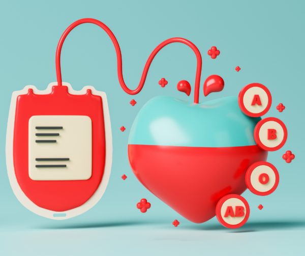 Importance of Blood Donation Activity – Little Medical School®